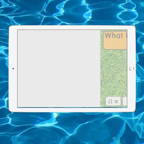 Perimeter Summer Swimming | Boom cards | Middle School Math | TPT