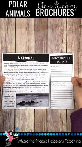 Polar Animals Close Reading Passages - Reading Comprehension | TPT