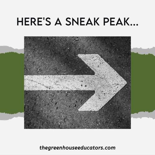 Wants vs Needs: I Spy Contentment social story unit by The Greenhouse ...