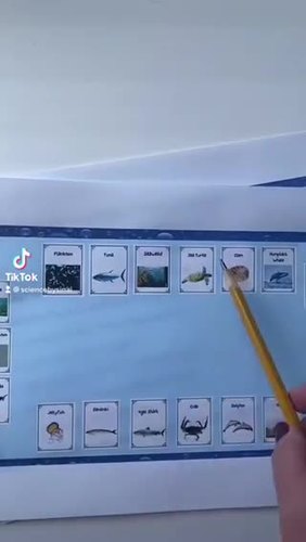 OCEAN FOOD WEB Dice Roll- Events Causing Changes in Populations ...