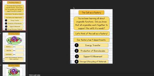 The Cell as a Factory - Animal Cell - Digital Notebook Activity | TPT