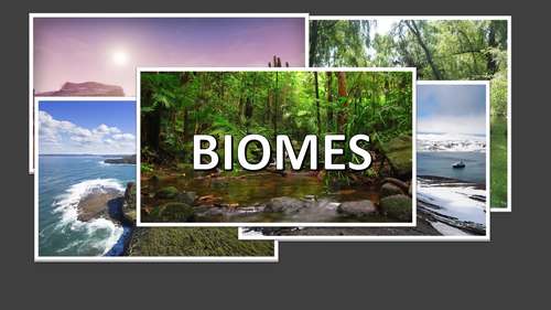 Biomes of the World Unit Study- 10 Biomes in All! by MyLearningAdventure