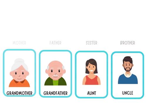 Family Members Double-sided Flashcards For Kids by The Digivita | TPT