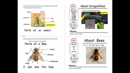 Double Book: About Dragonflies #5A & About Bees #8A by ALBERTO GUTIERREZ