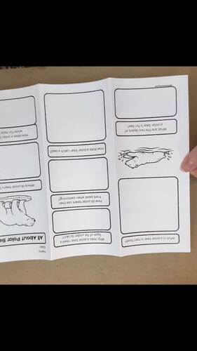 All About Polar Bears Craft Brochure Reading activity 3rd grade Artic ...