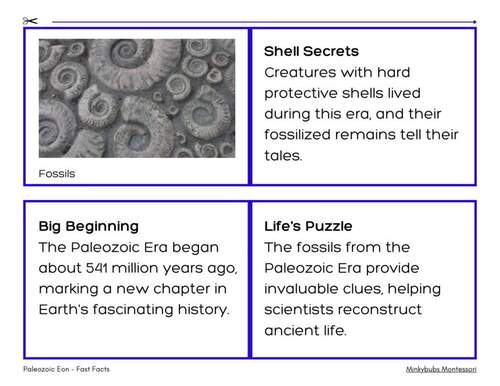 Clock of Eras Paleozoic Era Companion Fact Cards by Minkybubs Montessori