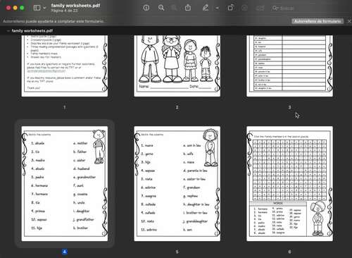La familia- the family in Spanish (vocabulary, puzzles, reading, maze ...