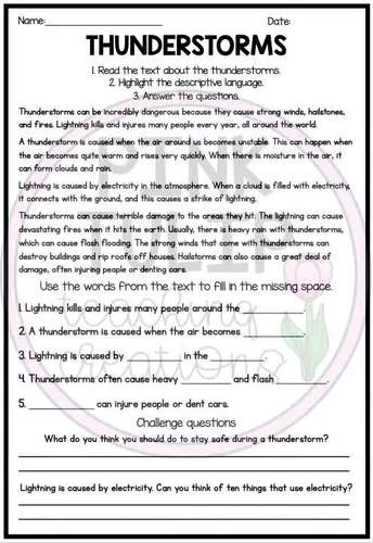 Reading Comprehension Activities - Information Reports with Grammar and ...