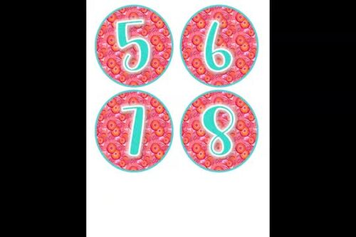 Basic Babes Cubby Labels by Julia's Colorful Classroom | TPT