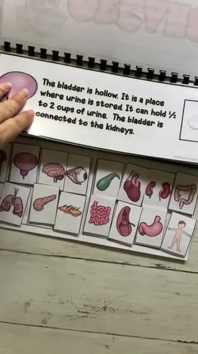 Organs Adapted Books by Homeschooling Autism | TPT