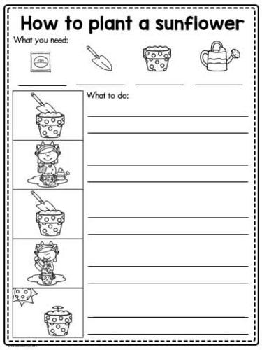 Sunflower Journal | Sunflower Diary | Grow a Sunflower Observation