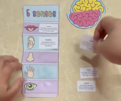 5 Senses Foldable Cut And Paste Craft Templates Activity by Tiny Lovely