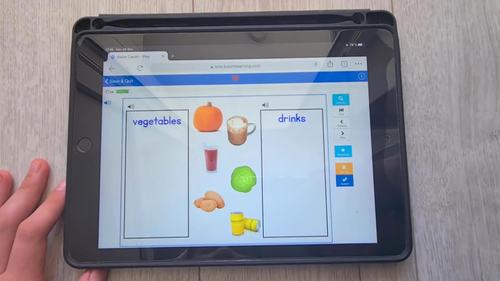 Sorting Objects | Category Sorting BOOM CARDS™ by Autism Journey - Angie S