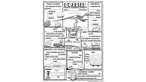 Fossils Doodle Notes & Quiz | NGSS Life Science & Earth History Resource