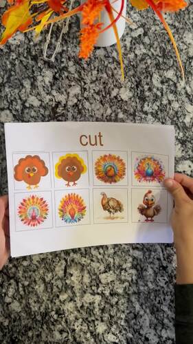 Thanksgivings busy work matching sorting activity homeschool classroom