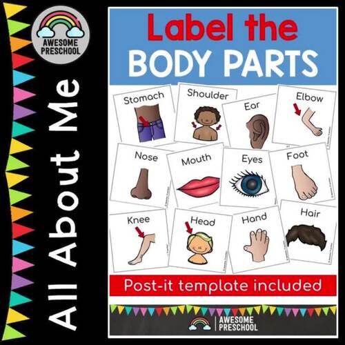 Preschool/ Kindergarten Label Body Parts - Back to school / All About Me