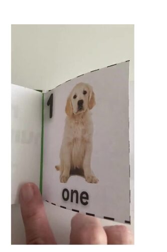 Numbers Mini Book - Real Life Photo Series PreK-3 & Newcomer ESOL Resource