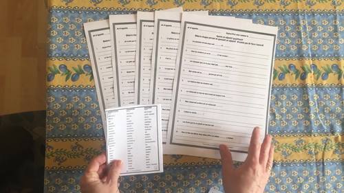 French Descriptive Adjectives Booklet - Livret de Référence | TpT