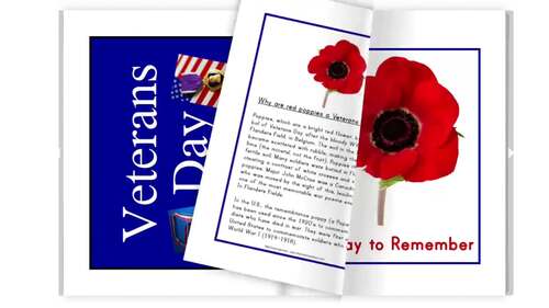 Veterans Day Student Created Bulletin Board Materials by My Teaching ...