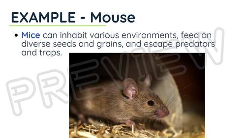 AP Environmental Science Unit 3: Populations Presentation - EDITABLE