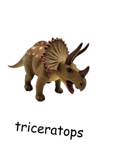 20 Dinosaurs Montessori Flashcards | Editable Prehistoric Cards for Kids