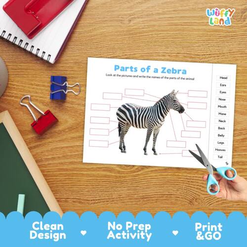 Parts of a Zebra Anatomy Poster | Wild Animal Labeling Activity ...