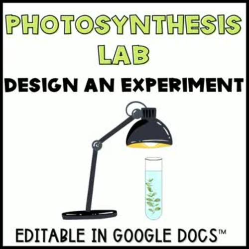 Photosynthesis Experiment