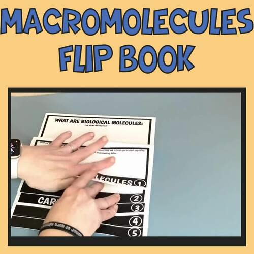 Macromolecules in Biology Flip Book by Science with Cara | TPT