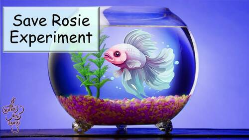 Photosynthesis & Cell Respiration Relationship Interactive Digital Lab