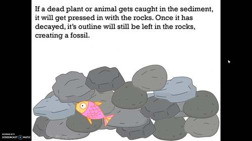 Classifying Rocks by Formation (Igneous, Sed, Met) PowerPoint Lesson ...