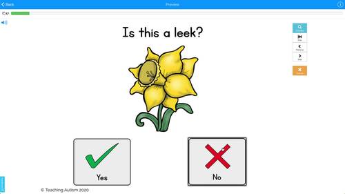 St David's Day Yes or No Questions | Boom Cards Distance Learning