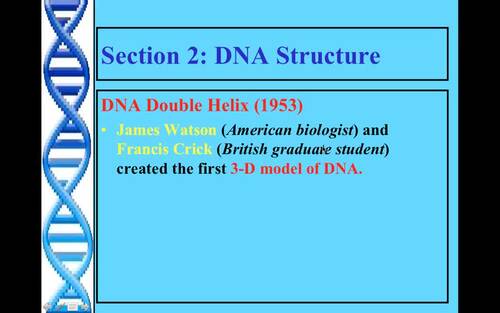 Biology Lecture Video/DNA Structure/Flipped Classroom/Edpuzzle Ready