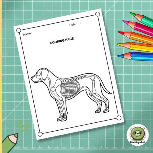 [4-8] Dog Anatomy Labeling Worksheets | Skeletal & Organ Systems Unit ...