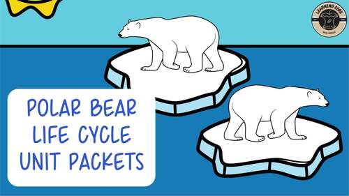 Polar Bear Life Cycle Science Worksheets Polar Bear Winter PreK Kinder ...