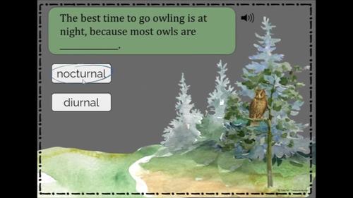 Owl Moon Boom Cards for 2nd 3rd 4th grade Vocabulary Comprehension ...