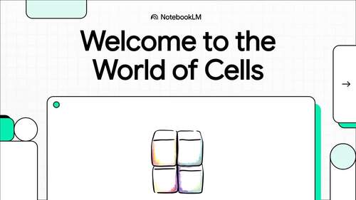 NGSS MS. Structure, Function, and Information Processing (Grades 6-8 ...