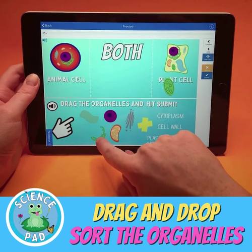 Label the Animal and Plant Cell | Sorting Organelles | Distance ...