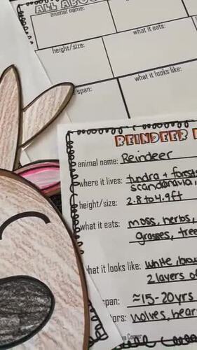 Reindeer Animal Research Graphic Organizer Craft by The Teaching Diva ...