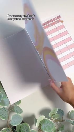 Teacher Assessment Book / Binder - Retro Theme by Teaching with Miss ...