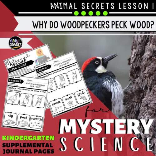 Mystery Science Kindergarten SUPPLEMENT Animal Secrets Lesson 1 Animal ...
