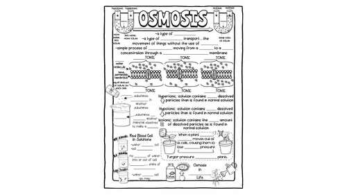 Osmosis Doodle Notes & Quiz + PowerPoint | Passive Transport & Cell ...