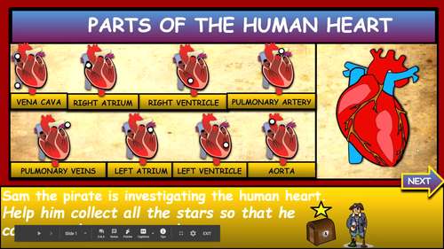 Parts of the Human Heart: Interactive Google Slides + PPT + 2 Worksheets