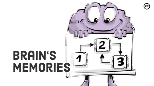 The Multi-Store Model: How We Make and Keep Memories | TPT