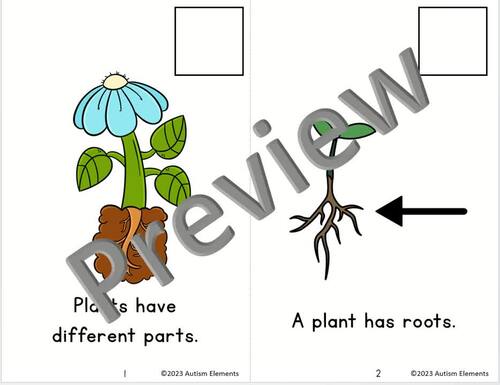Parts of A Plant- Adapted Book- Science- Spring-Plants- Flowers- Autism