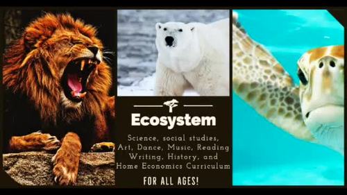 Ecosystem Homeschool Curriculum by Voices of Eve | TPT