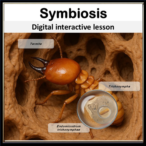Symbiosis Digital Lesson — Mutualism, Commensalism, Parasitism Explained