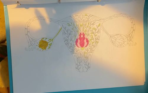 Beautiful abstract female uterus anatomy coloring page and colorful ...