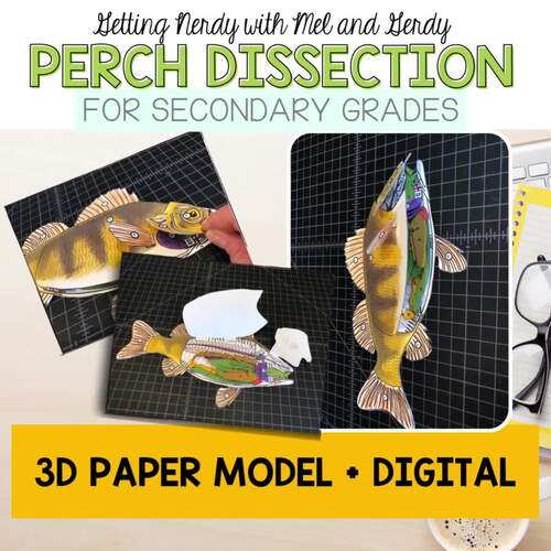 Perch | Fish Dissection Zoology | Biology 3-D Anatomy Paper Dissection ...