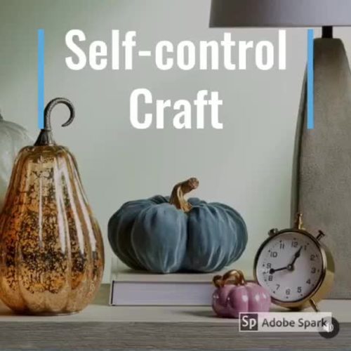Self Control Activities with the Circle of Control Turkey | TpT