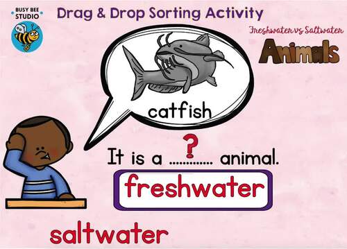 ANIMAL HABITAT SORT CATEGORY 1ST 2ND GRADE NO PREP SCIENCE ACTIVITIES ...